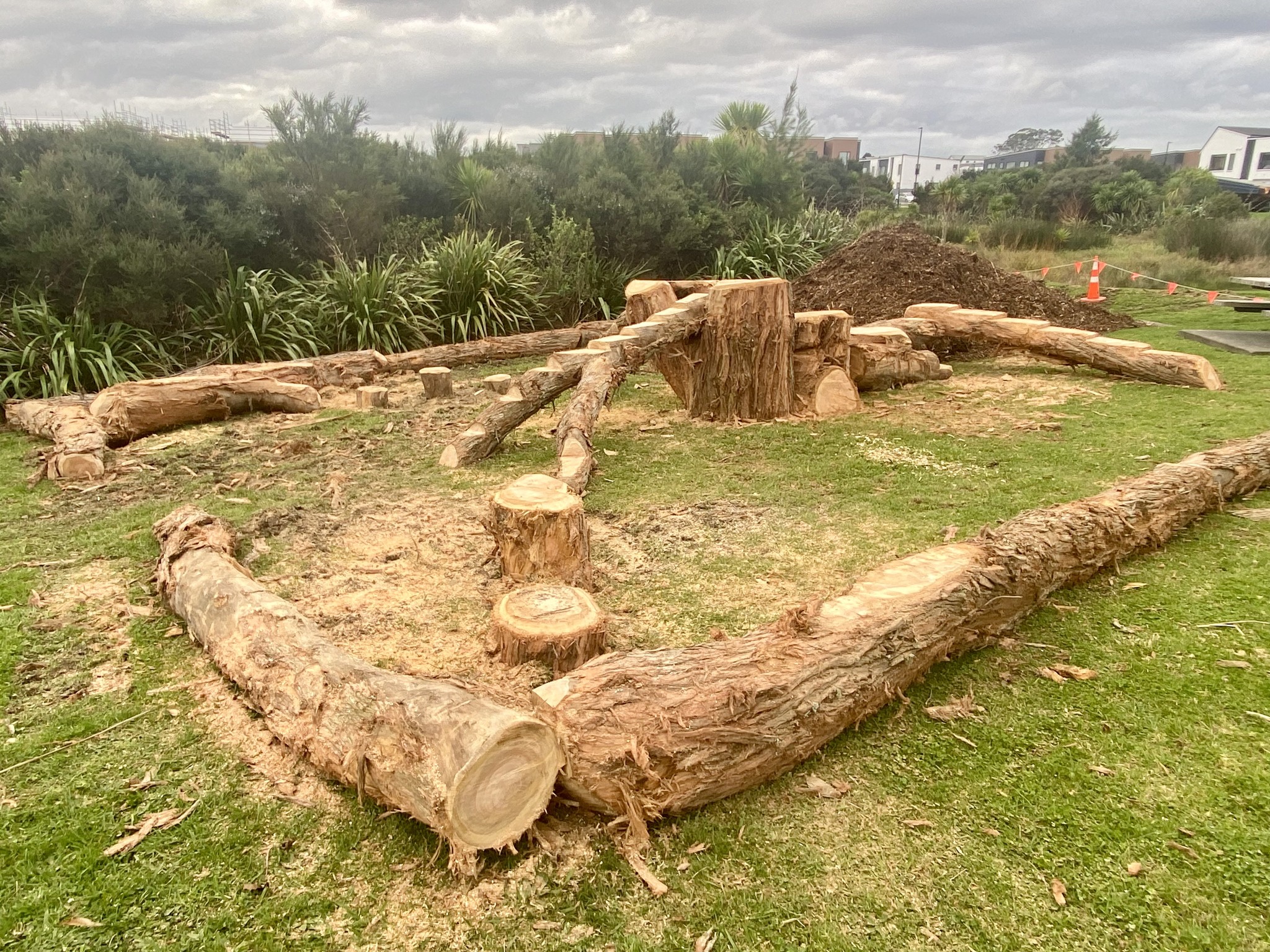 Anna Atkinson, Chair of the Upper Harbour Local Board - The Westerly